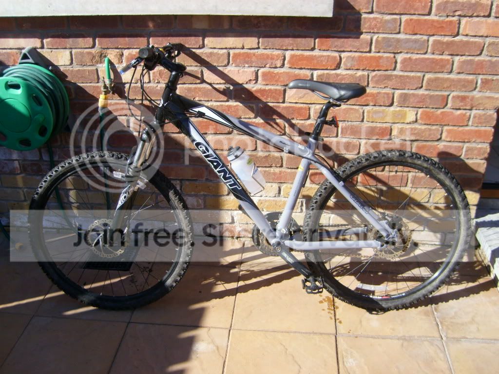 Giant Rainier Mountain Bike | RMS Motoring Forum