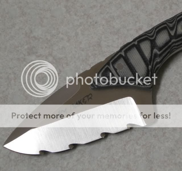 Shark Tooth - serrated edc fixed blade | BladeForums.com