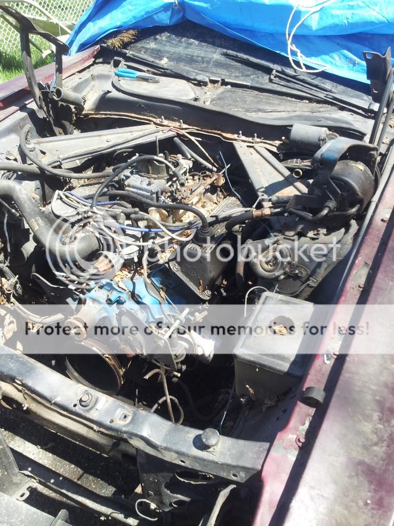 71 Vert Project | '71 - '73 Vintage Ford Mustang Forum