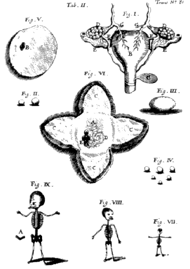 A History of Early Spherical Microscope Lenses – Spinoza’s Place in ...