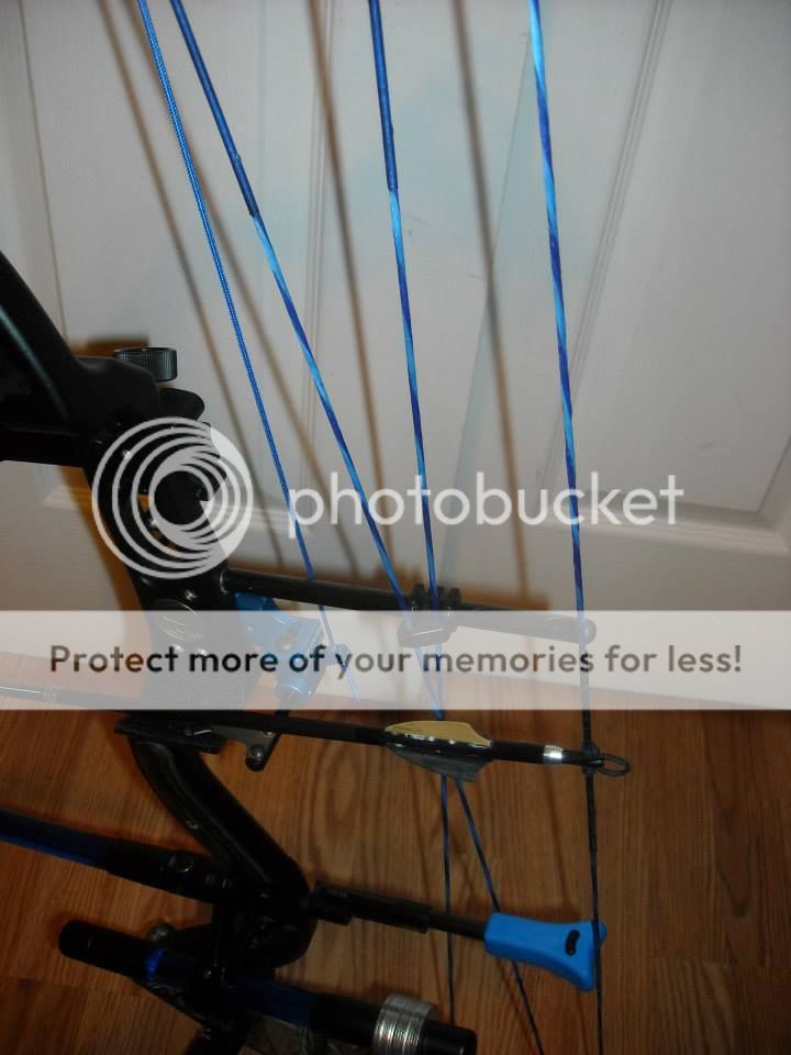 String color combos | Archery Talk Forum