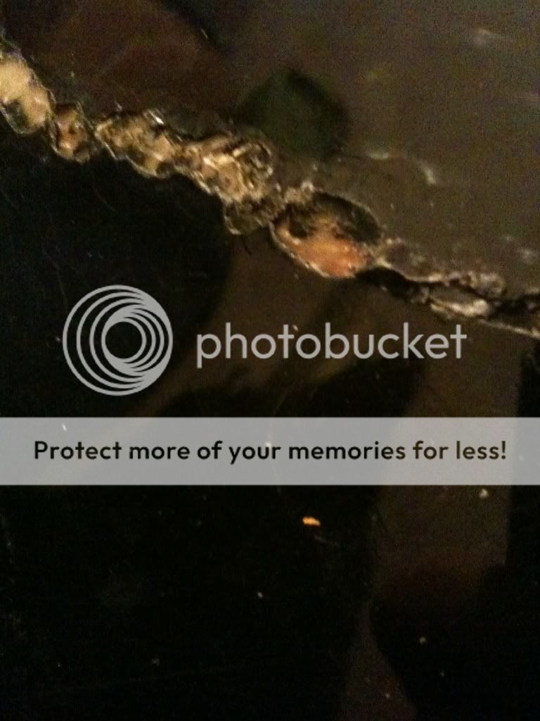 Damaged board, fix possible? | Snowboarding Forum - Snowboard ...